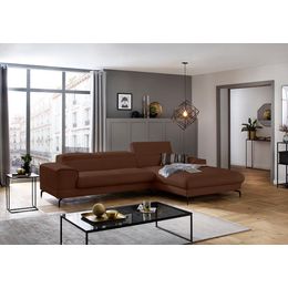Ecksofa W.Schillig "piedroo, Designsofa mit tollem Sitzkomfort, L-Form", braun (tabacco z69), B:303cm H:70cm T:193cm, Longlife Xtra-Leder Z69: Das feinnarbige, gedeckte Softleder Z69 besticht durch seine au&szlig;ergew&ouml;hnliche Weichheit im trendigen &raquo;Vintage-Look&laquo;, Hautst&auml;rke 0, 9 - 1, 1 mm, Sofas, Ecksofa, Kopfteilverstellung, wahlweise mit Sitztiefenverstellung, Breite 303cm