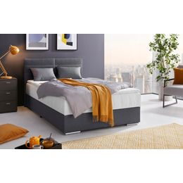 Boxbett COTTA "Tom mit Bettkasten, Topper und Zierkissen", grau (anthrazit), B:145cm L:209cm, Komplettbetten, Boxbett, Bestseller, Unser Dauertiefpreis