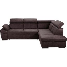 Ecksofa exxpo - SOFA FASHION "Salerno, Funktionssofa, hoher Sitzkomfort, Breite 268cm, L-Form", braun (dunkelbraun), B:268cm H:77cm T:204cm, NaturLeder;Primabelle-Microfaser (100% Polyester);Luxus-Kunstleder, Sofas, Ecksofa, inkl. Kopf- und Armteilverstellung, wahlweise mit Bettfunktion