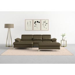 Sit & More Ecksofa SIT & MORE "Cabrio L-Form, B: 295 cm, mit Sitztiefen-, Arm- & Kopfteilverstellung", gr&uuml;n (olive), B:295cm H:87cm T:180cm, Sofas, Ecksofa, 2 Nierenkissen, Federkern, optional Bettfunktion und Stauraum