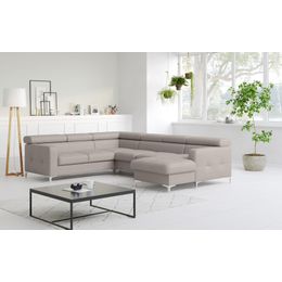 Wohnlandschaft COTTA "Sammy U-Form", grau, B:304cm H:74cm T:240cm, NaturLEDER, die R&uuml;ckseite ist mit schwarzem und die Liegefl&auml;che der Bettfunktion ist mit beigem Spannstoff bezogen, Sofas, Wohnlandschaft, mit Kopfteilverstellung, wahlweise mit Bettfunktion & Bettkasten