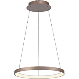 Paul Neuhaus Pendelleuchte "HOOP", braun (coffee), 1, &Oslash; 57cm H: 40cm, 1 Stk., Leuchten, LED, dimmbar, Simply Dim, Memory, nach Trennung vom Netz, Comfort Lift, Pendelleuchte