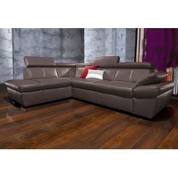 Ecksofa exxpo - SOFA FASHION "Salerno, Funktionssofa, hoher Sitzkomfort, Breite 268cm, L-Form", braun (schoko), B:268cm H:77cm T:204cm, NaturLeder;Primabelle-Microfaser (100% Polyester);Luxus-Kunstleder, Sofas, Ecksofa, inkl. Kopf- und Armteilverstellung, wahlweise mit Bettfunktion