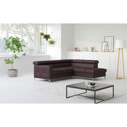Ecksofa COTTA "Sammy L-Form", braun, B:239cm H:74cm T:207cm, Microfaser Primabelle (100% Polyester);Die R&uuml;ckseite und die Liegefl&auml;che der Bettfunktion in NaturLEDER ist mit schwarzem Spannstoff bezogen, Sofas, Ecksofa, mit Kopfteilverstellung, wahlweise mit Bettfunktion & Bettkasten