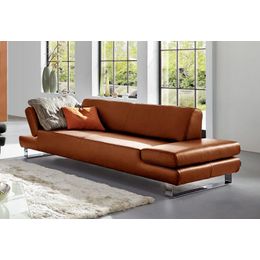 3-Sitzer W.Schillig "taboo Designsofa mit hohem Sitzkomfort", braun (cognac z69), B:232cm H:76cm T:101cm, Flachgewebe S22 (100% Polyester);Stoff S37 (100% Polyester): Luxus-Microfaser in Lederoptik;Longlife Xtra-Leder Z59: Glattleder mit modischer Pr&auml;gung. Hautst&auml;rke 0, 9 - 1, 1 mm;Longlife Xtra-Leder Z69: Das feinnarbige, gedeckte Softleder Z69 besticht durch seine au&szlig;ergew&ouml;hnliche Weichheit im t