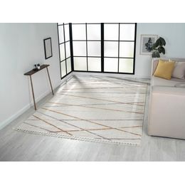 Teppich "Luana 1, LAGERR&Auml;UMUNG", beige (cream, hellgrau, braun), B:200cm H:10mm L:290cm, Polyester, MyFlair M&Ouml;BEL & ACCESSOIRES, Teppiche, Teppich, Kurzflor, Sisal Optik, Hoch-Tief Effekt, mit Fransen, besonders weich