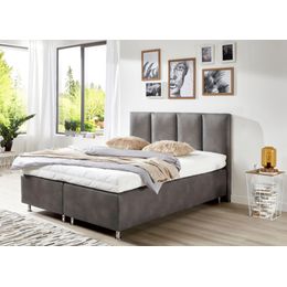 Boxspringbett, grau, B:154cm L:210cm, Bezug Unterbox und Kopfteil: Microfaservelours, 100% Polyester in Leder-Optik;Bezug Obermatratze: 100% Polyester, waschbar bis 60C, Westfalia Schlafkomfort, Komplettbetten, Boxspringbett