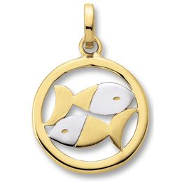 Sternzeichenanh&auml;nger ONE ELEMENT "Fische Sternzeichen Anh&auml;nger aus 333 Gelbgold", gold, Schmuckanh&auml;nger, Damen, Fische, Gelbgold 333, Sternzeichenanh&auml;nger, Astro