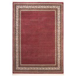 Orientteppich Theko "Abbas Meraj Mir" Gr. 6, rot (rot, creme), B:200cm H:12mm L:300cm, Schurwolle, Teppiche, Orientteppich, reine Wolle, handgekn&uuml;pft, mit Fransen