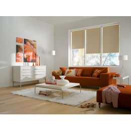 Elektrisches Rollo SUNLINES "San Francisco", beige (sand, wei&szlig;), B:200cm H:180cm, Polyester, Rollos, Elektrisches Rollo, appgesteuert via Bluetooth, mit Motor und Akku, wei&szlig;er Fallstab