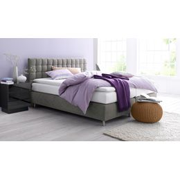 Boxspringbett, grau, B:175cm L:210cm, Microvelours (100% Polyester);Strukturstoff (77% Polyester und 23% Viskose);Bonnell-Federkern-Matratzenbezug: 100% Polyester;Kaltschaum-Matratzenbezug: Frottee 100% Polyester, Westfalia Schlafkomfort, Komplettbetten, Boxspringbett
