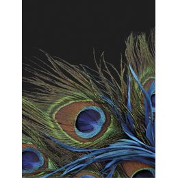 Wohndecke Kinzler "Mikrofaser Fotodruck "Pfau", bunt, B:150cm L:200cm, Polyester, Wohndecken, Wohndecke, Kuscheldecke, bedruckt, 150x200 cm