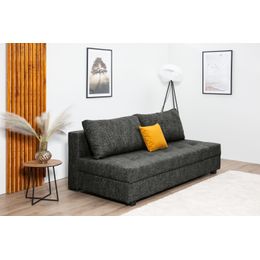 Schlafsofa Collection AB "DARIA inklusive Schlafunktion und Bettkasten", grau (dunkelgrau), B:194cm H:41cm T:90cm, 100%Polyester, Sofas, Schlafsofa, Schlafsofa,Bettfunktion,Bettkasten,inklusive R&uuml;ckenkissen,Federkern