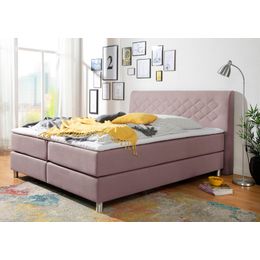 Boxspringbett Home Affaire "Parla", rosa (flamingo, rose), L:218cm, 100% Polyester, Komplettbetten, Boxspringbett, incl. Topper, 4 Farben in 4 Breiten, 2 H&auml;rtegraden, 3 Matratzenarten