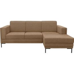Ecksofa "LOOKS VII L-Form", braun (messing), B:214cm H:82cm T:146cm, 100% Polyester, LOOKS by Wolfgang Joop, Sofas, Ecksofa, klare Linien, edles Design