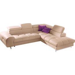 Ecksofa COTTA "Chef L-Form", beige (cappuccino), B:257cm H:72cm T:206cm, Luxus-Microfaser (100% Polyester);Kunstleder Softlux;Leder Advantage (abgedecktes Spalt-Rindsleder), R&uuml;ckseite mit schwarzem Spannstoff bezogen;NaturLEDER (echtes Rindsleder), R&uuml;ckseite mit schwarzem Spannstoff bezogen, Sofas, Ecksofa, mit Kopfteilverstellung, edle Metallkufen, wahlweise mit Bettfunktion