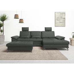 Ecksofa OTTO HOME "Costello L-Form, B: 301 cm mit Sitztiefen-, Armteilverstellung &", grau (anthrazit), B:301cm H:89cm T:176cm, Luxus-Microfaser (90% Polyester, 10% Polyamid);Samtoptik (100% Polyester), Sofas, Ecksofa, 3 Nierenkissen, optional Bettfunktion & Bettkasten
