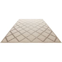Teppich HOMIE LIVING "Bergamo HL-45574", beige (beige, grau), B:200cm H:5mm L:290cm, Polypropylen (PP), Teppiche, Teppich
