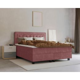 Boxspringbett Home Affaire "Jeanne", rosa (ros&eacute;), B:181cm L:208cm, 100% Polyester, Komplettbetten, Boxspringbett, inkl. Topper mit Taschen-Federkernmatratze