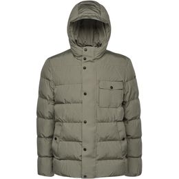 Steppjacke Geox "PIEVE", Herren, Gr. 54, grau (vetiver), Web, Obermaterial: 100% Polyester. Futter: 100% Polyester. Wattierung: 100% Polyester, unifarben, Basic h&uuml;ftlang, eingesetzt, Jacken Steppjacke, mit verdecktem Rei&szlig;verschluss & Druckern, Kapuze mit Schirm, 4 Taschen