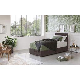 Boxbett COTTA "Tom mit Bettkasten, Topper und Zierkissen", schwarz (charcoal), B:95cm L:209cm, Komplettbetten, Boxbett, Bestseller, Unser Dauertiefpreis