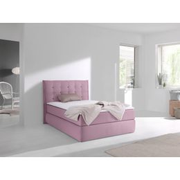 Boxspringbett Home Affaire "Sagres", rosa (ros&eacute;), B:155cm L:210cm, Feinstruktur(100% Polyester);Bezug der Spiegelfl&auml;che Matratzendrell aus 100% Polyester, Komplettbetten, Boxspringbett, Kopfteil mit 2farbiger Flatterbiese und zweifarbigen Kn&ouml;pfen