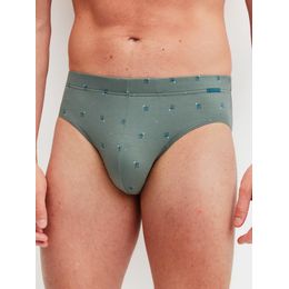 Slip Calida "Grafic Cotton", Herren, Gr. M (50), laurel gr&uuml;n, Single Jersey, Obermaterial: 90% Baumwolle, 10% Elasthan, k&ouml;rpernah, Unterhosen Slip, gestreift, ohne Eingriff, &uuml;berzogenem Bund, Single Jersey, elastisch