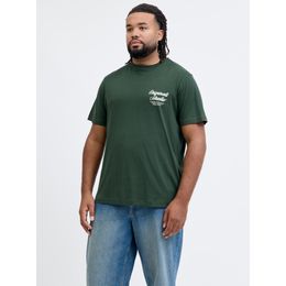 Jack & Jones PlusSize Kurzarmshirt "JORNORREBRO TYPO TEE SS CREW NECK PLS", Herren, Gr. 5XL, sycamore, Jersey, Obermaterial: 100% Baumwolle, JACK & JONES PLUSSIZE, bedruckt, regular fit normal, Rundhals, gerader Abschluss, Shirts Kurzarmshirt, Baumwolle, regular fit