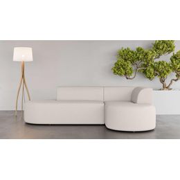 Ecksofa OTTO HOME "Ecksofa Tvinne mit Ottomane links oder rechts bestellbar", beige (creme), B:260cm H:73cm T:170cm, 100% Polyester, Sofas, Ecksofa, L-Form, mit Wellenunterfederung, BxTxH 260x170x73 cm