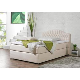 Boxspringbett Maintal, beige (creme), Liegefl&auml;che B/L: 100cm x 200cm, H2 + H2, 7-Zonen-Kaltschaummatratze, Seitliche Einfassung Unterbox und Obermatratze: Mikrovelours (100% Polyester);Spiegelfl&auml;che der Unterbox und Obermatratze: 100% Polyester, Komplettbetten, Boxspringbett, in diversen Ausf&uuml;hrungen