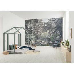 Fototapete Komar "Digitaldruck Vlies - Wood Wide Web - Gr&ouml;&szlig;e 400 x 280 cm", bunt, Rollen: 1, Vlies, Tapeten, Fototapete, Wohnzimmer, Schlafzimmer