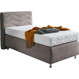 Boxspringbett "Sigma", beige (schwarz, beige), B:115cm L:210cm, Bezug Bett: Microvelours (100% Polyester) oder Feinstruktur (100% Polyester);Bezug Bonnell-Federkernmatratze: 100% Polyester;Bezug Kaltschaummatratze: 100% Polyester;Bezug Tonnentaschenfederkernmatratze: 80% Baumwolle, 20%Polyester, Westfalia Schlafkomfort, Komplettbetten, Boxspringbett