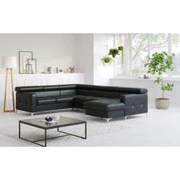 Wohnlandschaft COTTA "Sammy U-Form", schwarz, B:304cm H:74cm T:240cm, NaturLEDER, die R&uuml;ckseite ist mit schwarzem und die Liegefl&auml;che der Bettfunktion ist mit beigem Spannstoff bezogen, Sofas, Wohnlandschaft, mit Kopfteilverstellung, wahlweise mit Bettfunktion & Bettkasten