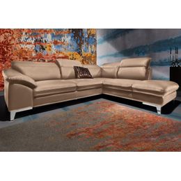 Ecksofa COTTA "Teresa L-Form", braun (cappuccino), B:293cm H:84cm T:232cm, Luxus-Kunstleder;NaturLeder, im R&uuml;cken mit schwarzem Spannstoff bezogen, Sofas, Ecksofa, mit Kopfteilverstellung, wahlweise mit Bettfunktion