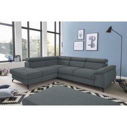 Ecksofa COTTA "Kitty L-Form, B: 249 cm", grau (niagara), B:249cm H:72cm T:207cm, Microfaser (100% Polyester);Flachgewebe (100% Polyester), Sofas, Ecksofa, mit Kopfteilverstellung, optional Bettfunktion & Bettkasten