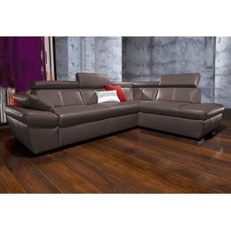 Ecksofa exxpo - SOFA FASHION "Salerno, Funktionssofa, hoher Sitzkomfort, Breite 268cm, L-Form", braun (schoko), B:268cm H:77cm T:204cm, NaturLeder;Primabelle-Microfaser (100% Polyester);Luxus-Kunstleder, Sofas, Ecksofa, inkl. Kopf- und Armteilverstellung, wahlweise mit Bettfunktion