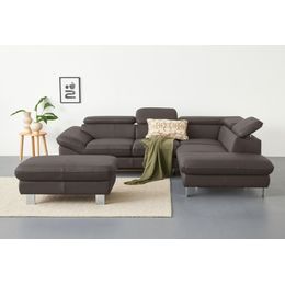 Ecksofa COTTA "Driver L-Form", braun (cacao), B:268cm H:73cm T:214cm, Kunstleder SOFTLUX;LEDER BEEFY (ein abgedecktes Spalt-Rindsleder) im Sitz und R&uuml;cken (Korpus in Kunstleder);Luxus-Kunstleder;Leder Pampas (echtes Rindsleder) im Sitz und R&uuml;cken (R&uuml;ckseite mit Spannstoff bezogen), Sofas, Ecksofa, mit Kopfteilverstellung, wahlweise mit Bettfunktion & Bettkasten