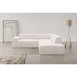 Ecksofa WERK2 "Zeus-M, tolles Sofa mit sch&ouml;nen Details, L-Form", beige (natur), B:251cm H:70cm T:262cm, 100% Polyester, Sofas, Ecksofa, Curvy Trend Garnitur, urbane Optik, komfortable Wellenunterfederung