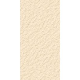 Duschr&uuml;ckwand Sanotechnik "Sanowall", beige (natur), B:100cm H:205cm, Aluminium, Spritzschutzw&auml;nde, Duschr&uuml;ckwand, H&ouml;he: 205 cm