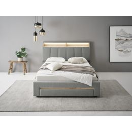 Polsterbett Home Affaire "CiTY/GiRON,, gepolstertes Stauraumbett, mit LED Beleuchtung", silber (silbergrau), B:170cm H:110cm L:235cm, Betten, Polsterbett, Bettkasten mit Hundebett oder als Stauraum, klappbare Kopfteile