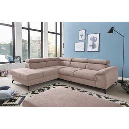 Ecksofa COTTA "Kitty L-Form, B: 249 cm", braun (mud), B:249cm H:72cm T:207cm, Microfaser (100% Polyester);Flachgewebe (100% Polyester), Sofas, Ecksofa, mit Kopfteilverstellung, optional Bettfunktion & Bettkasten