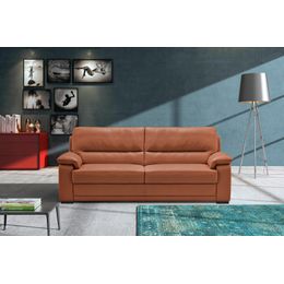 2,5-Sitzer Egoitaliano "Doris, modernes Designersofa, Ledersofa mit erstklassiger Sitzqualit&auml;t", rot (brick), B:192cm H:90cm T:93cm, Leder &raquo;BULL&laquo; (echtes Rindsleder). Geschliffenes, pigmentiertes und behandeltes Rindsleder mit einer Dicke von 1, 3-1, 5 mm. Dieses Leder zeigt eine ziemlich weiche Hand mit einem halb undurchsichtigen Aussehen. Es handelt sich um ein gesch&uuml;tztes Leder. Eine leichte D