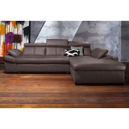 Ecksofa exxpo - SOFA FASHION "Salerno, Funktionssofa, Breite 280cm, hoher Sitzkomfort, L-Form", braun (schoko), B:280cm H:77cm T:170cm, Microfaser-Primabelle (100% Polyester);NaturLEDER;Kunstleder;Lederfaserstoff;Luxus-Microfaser Lederoptik, Sofas, Ecksofa, inkl. Kopf- und Armteilverstellung, wahlweise mit Bettfunktion