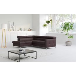 Ecksofa COTTA "Sammy L-Form", braun, B:239cm H:74cm T:207cm, Microfaser Primabelle (100% Polyester);Die R&uuml;ckseite und die Liegefl&auml;che der Bettfunktion in NaturLEDER ist mit schwarzem Spannstoff bezogen, Sofas, Ecksofa, mit Kopfteilverstellung, wahlweise mit Bettfunktion & Bettkasten