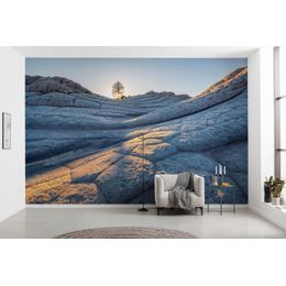 Fototapete Komar "Digitaldruck Vlies - Elephant Skin - Gr&ouml;&szlig;e 400 x 250 cm", grau, Rollen: 1, Vlies, Tapeten, Fototapete, Wohnzimmer, Schlafzimmer