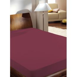 Spannbettlaken Primera "Luxus-Satin", bordeaux, B:100cm L:200cm, Satin, Obermaterial: 100% Baumwolle, Bettlaken, Spannbettlaken, in hochwertiger Qualit&auml;t