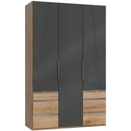 Kleiderschrank wimex "Level by fresh to go", grau (plankeneichefarben, grauglas), B:150cm H:236cm T:58cm, Schr&auml;nke, Kleiderschrank, mit vollfl&auml;chigen Glast&uuml;ren