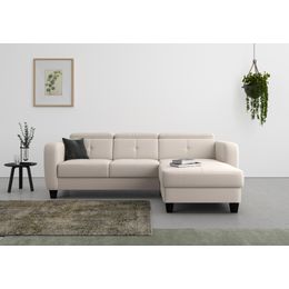 Sit & More Ecksofa SIT & MORE "Belluci L-Form", grau (elephant), B:247cm H:85cm T:170cm, Sofas, Ecksofa, inklusive Federkern, wahlweise mit Bettfunktion und Bettkasten