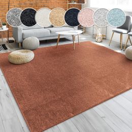 Teppich Paco Home "Porto 890", braun (kupferfarben), B:160cm H:13mm L:220cm, Obermaterial: 100% Polypropylen, Teppiche, Teppich, Kurzflor, Uni-Farben, ideal im Wohnzimmer & Schlafzimmer