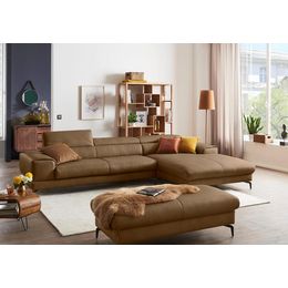 Ecksofa W.Schillig "piedroo, Designsofa mit tollem Sitzkomfort, bequem und elegant, L-Form", braun (fango z69), B:343cm H:70cm T:193cm, Longlife Xtra-Leder Z69: Das feinnarbige, gedeckte Softleder Z69 besticht durch seine au&szlig;ergew&ouml;hnliche Weichheit im trendigen &raquo;Vintage-Look&laquo;, Hautst&auml;rke 0, 9 - 1, 1 mm, Sofas, Ecksofa, Kopfteilverstellung, wahlweise mit Sitztiefenverstellung, Breite 343cm